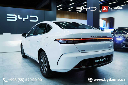 BYD CHAZOR (120 km Comfort)