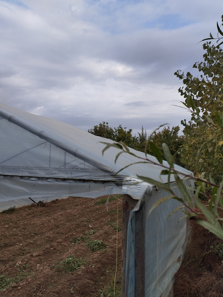 Parnik sotiladi bir yel bulgan