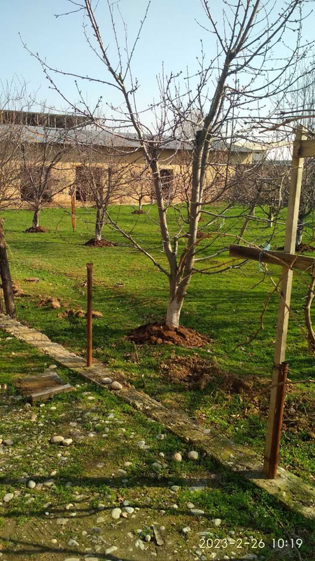 Срочно!!! Арендага бераман 3 хона. 16сотих. Сув. элетр. газ бор. Тайёр