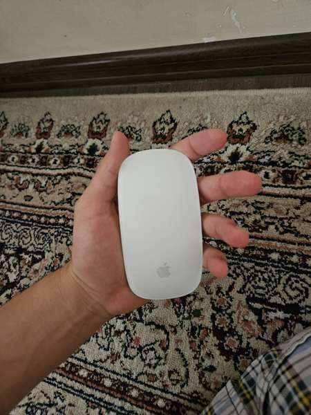 apple magic mouse 2
