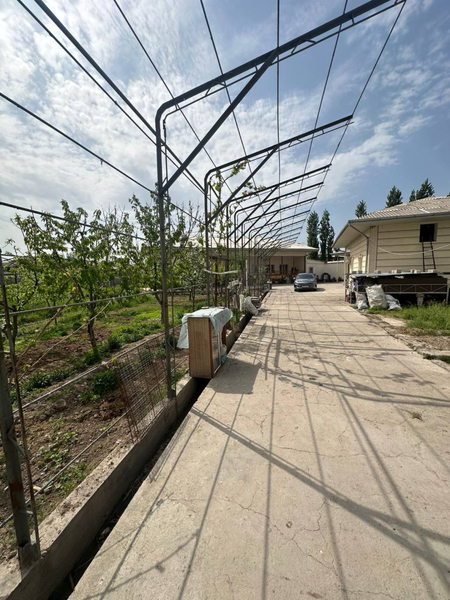 Продается земля в Янги узбекистон