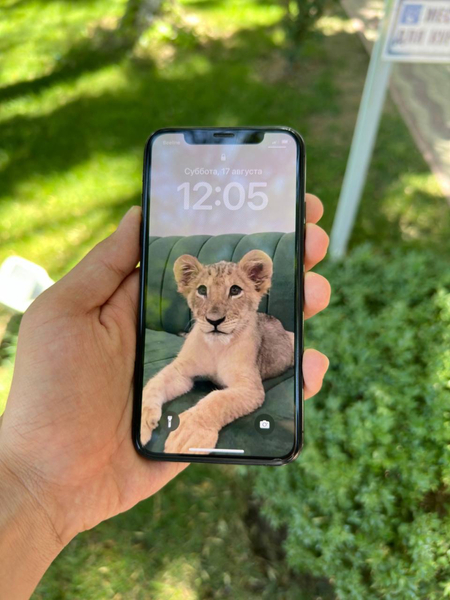 Iphone X soriladi