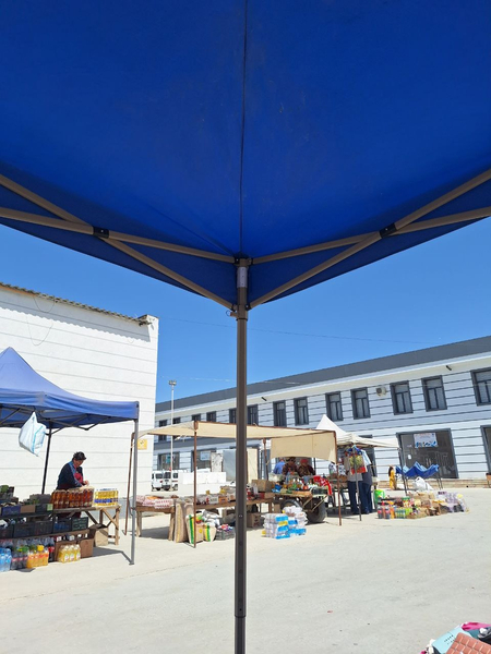 Zontik tent original