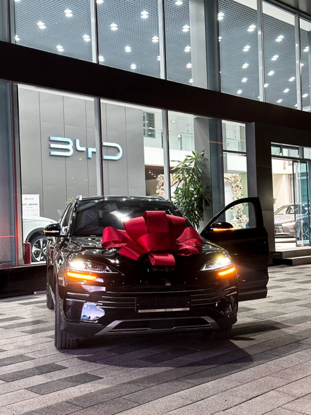 Byd Champion Elektro va Gibrid
