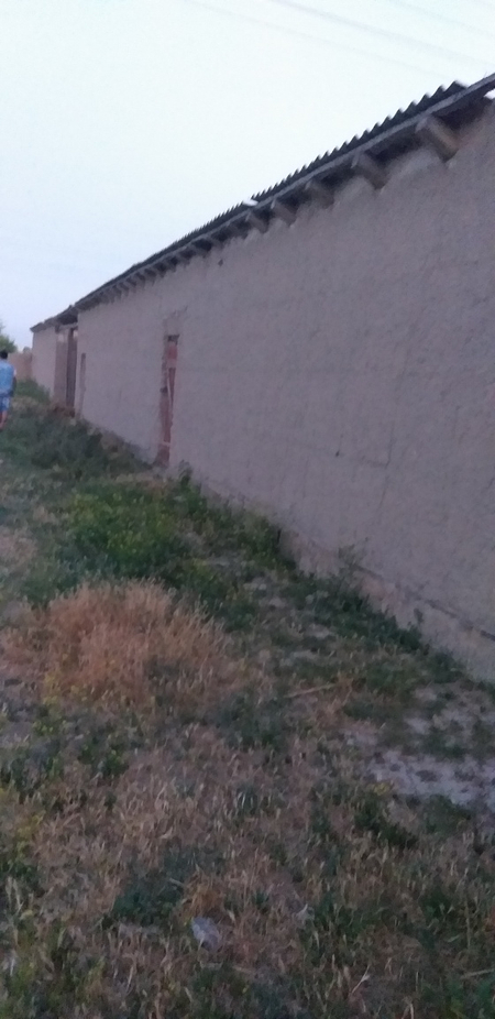 Часни домик сурочни прадайотса