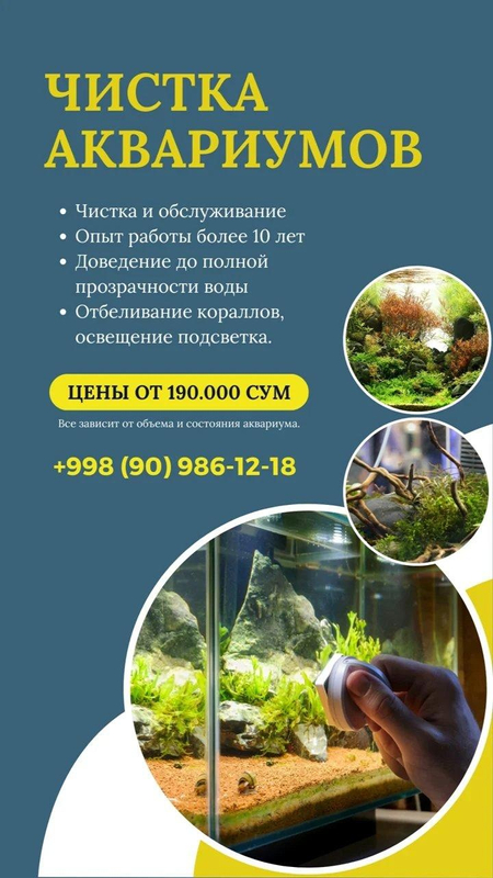 Чистка аквариумов