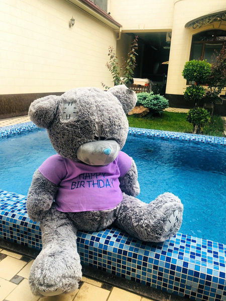 Teddiylar teddy orginal ayiqchalar