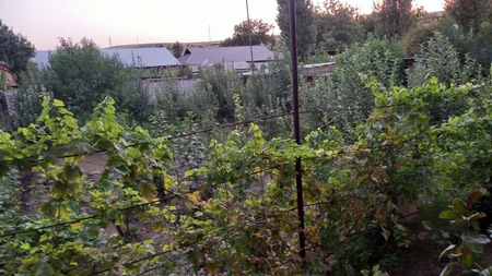 Продается дом 8 сотк