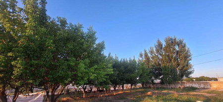 Участок, дача, (Hovli)