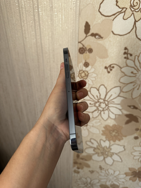 iPhone 13 Pro Max 256 LLA