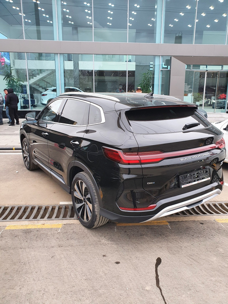 BYD чемпион гибрид 2024.