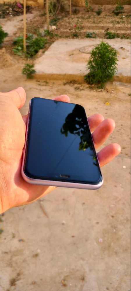 Iphone 11 xolati ideal aybi yoq
