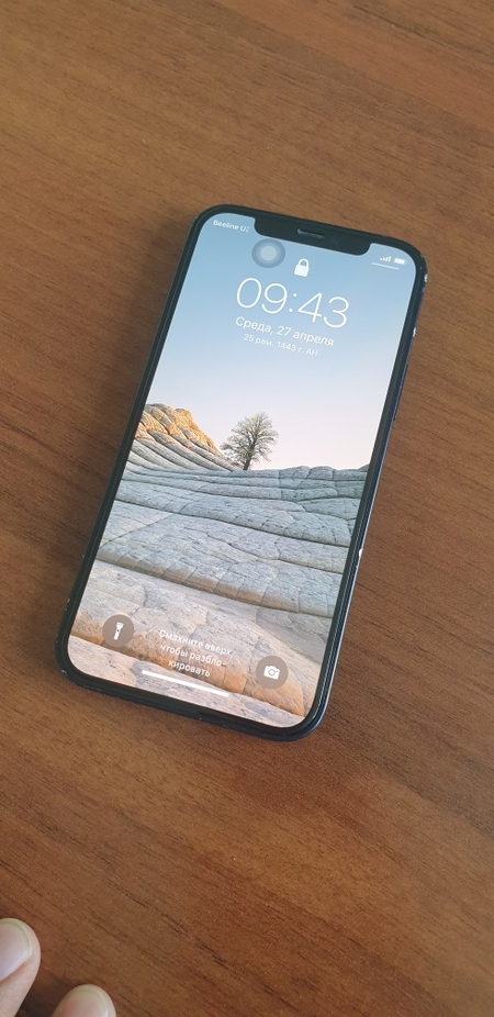 Iphone 12 256 Gb RU/A