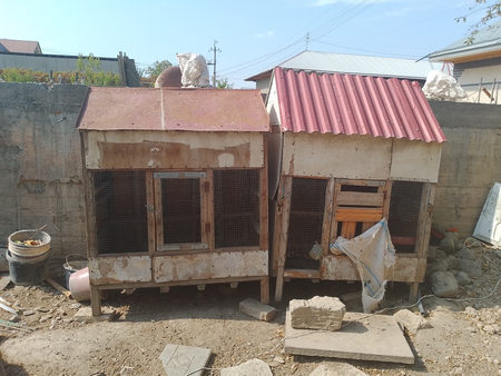 Katak qafaslar sotiladi parranda qushlar uchun maxsus !