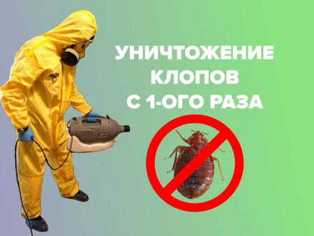 Dezinfeksiya дезинфекция dezinfeksiya