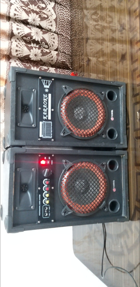 Karaoke AUDIO System bass