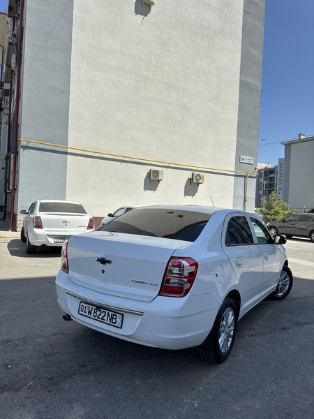 Cobalt GX-Style Plus AT
