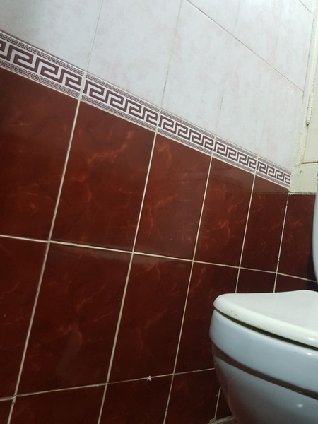 Bez makler chilonzor 11 kvartal