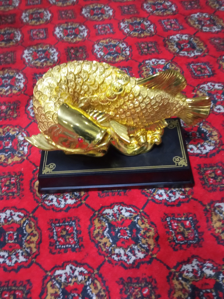 Suvinir baliq sotiladi