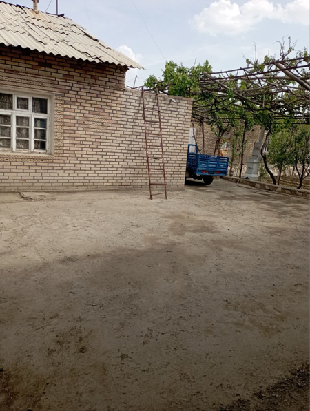 Hovli sotiladii.
