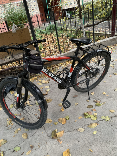 Mustang velik 26 sotiladi