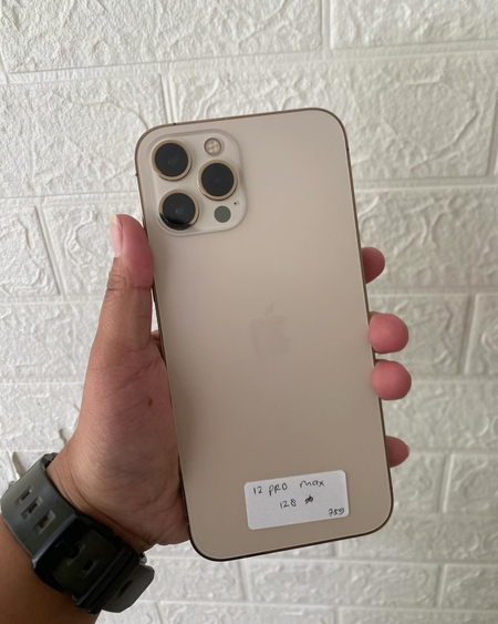 Iphone 12 Pro Max