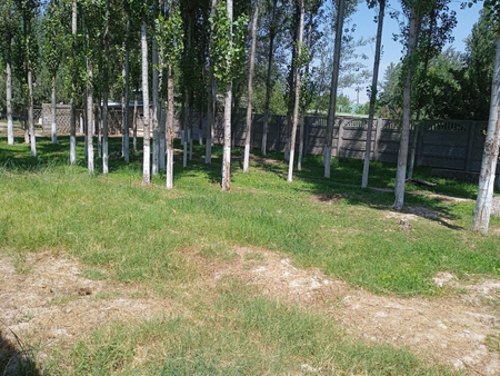 Продаётся земля 5соток г.Янгиюль