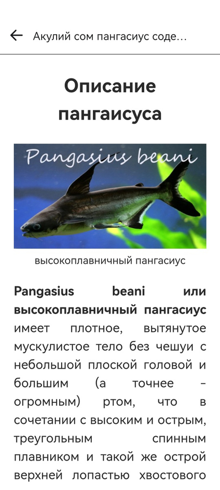 Балшой Аквариум за 350$