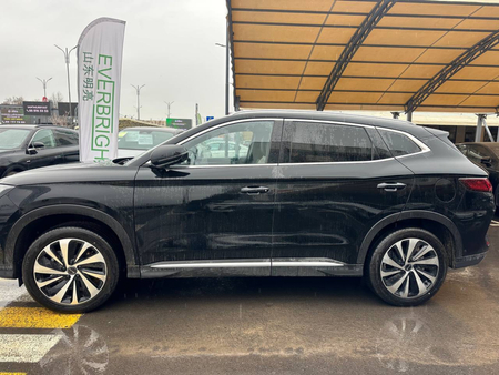 Byd chempion nalicha toshkent