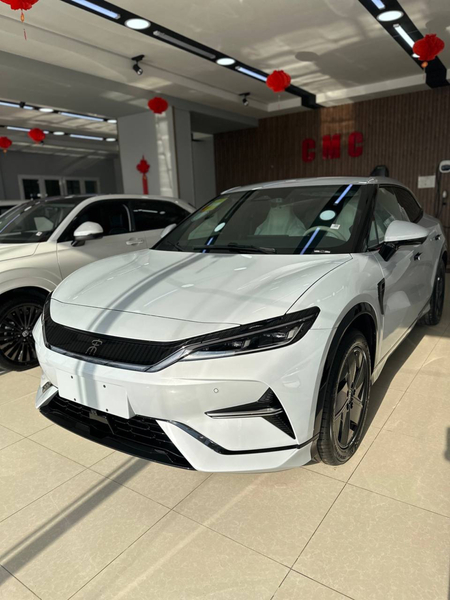 Byd Song L 550/662/602 km