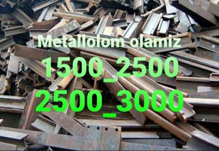Metallom temir metal