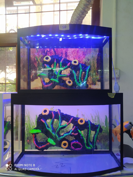 Akvarium 20 litrdan 100 litrgacha