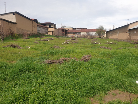 Toshkent viloyati Parkent shaxrida