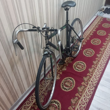 Спартивний велик янги.