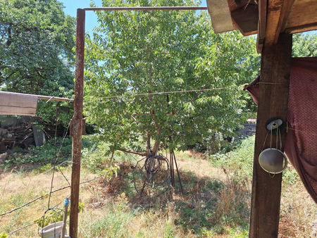 Dacha sotladi  yer narxda 6 sotix