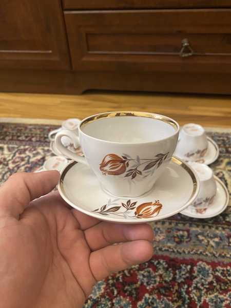 Рижский и Дулевский Фарфор