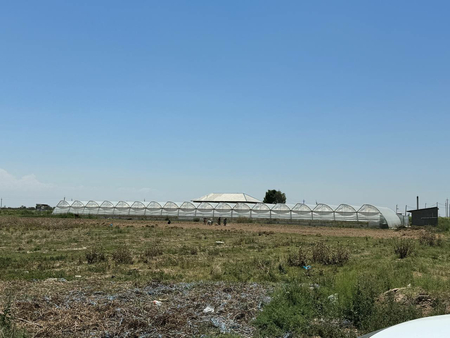 Ишлаб турган парник