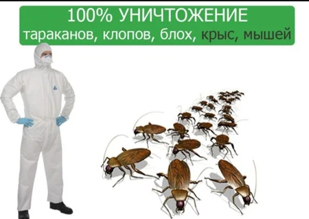 Дизенфекция с гарантией