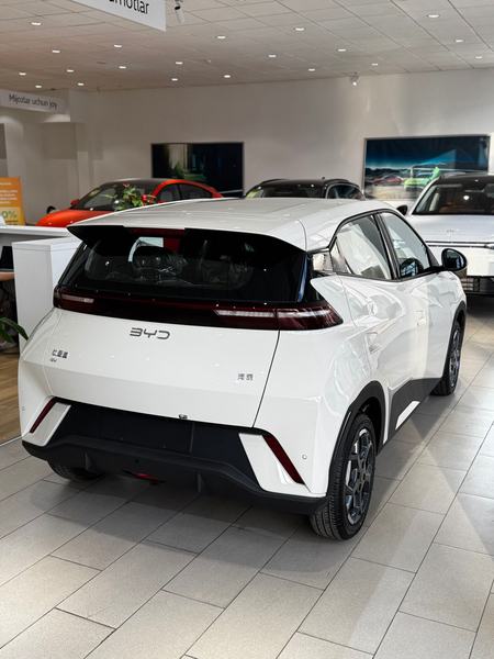 BYD Seagull 2025