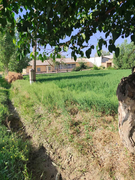 yer uchastka  sotiladi  Payariq burqut mahallasi yo'lni ushtida