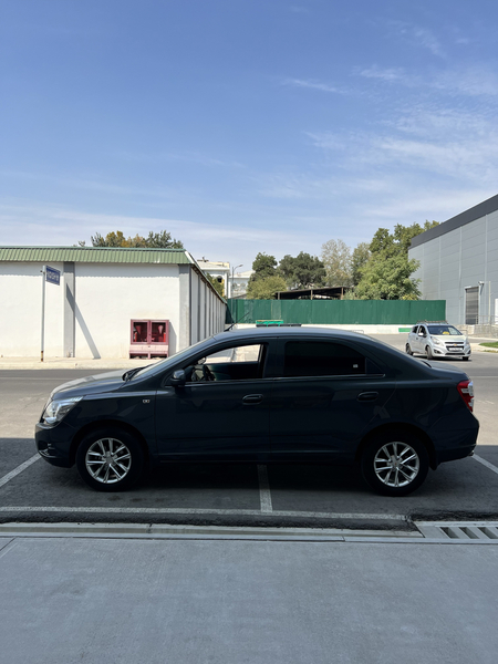 Cobalt Ltz 2019