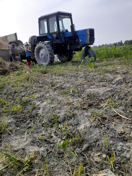 Беларус мтз 80