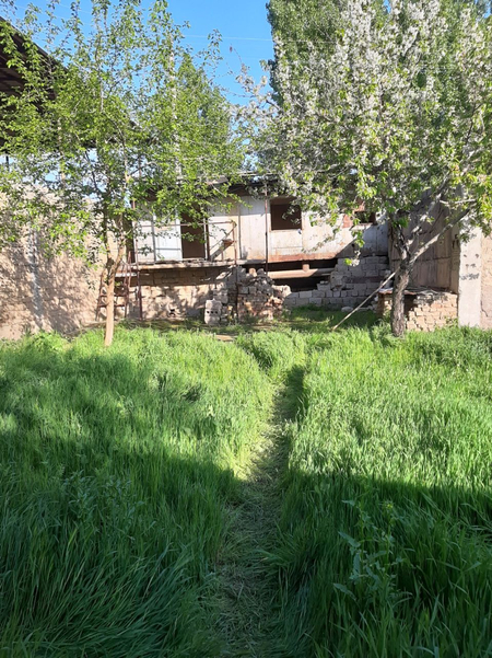 Dala hovli nazarbekda