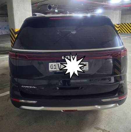 Kia Carnival Full