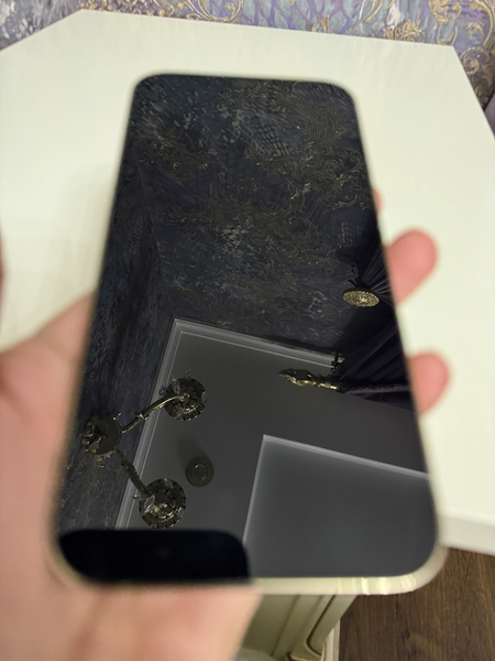 IPhone 12 Pro Max 256 GB
