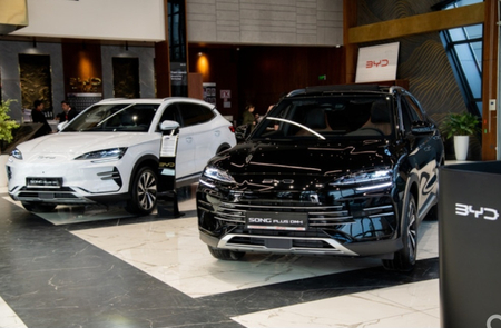 Byd chempion 2024 reystaling