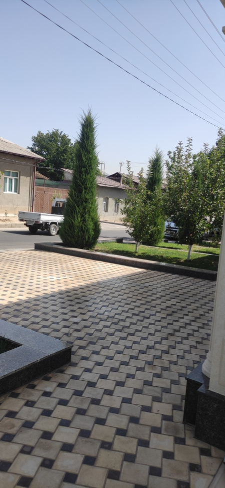 Archa kesish xizmati
