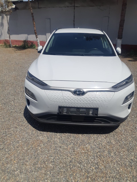 Hyundai kona electric