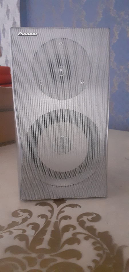 Калонка пионеер 700w