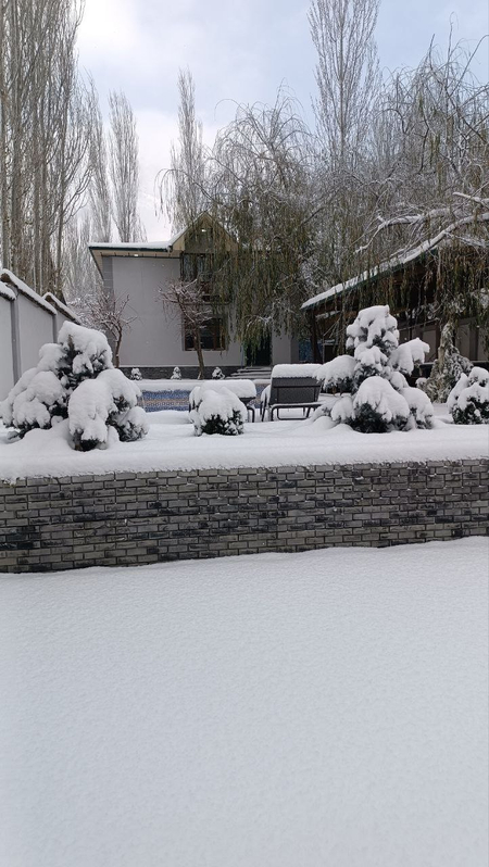 Dacha  brichmulloda xama sharoyit bor